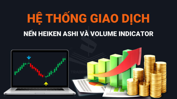 Hệ Thống Giao Dịch Heiken Ashi Và Volume Indicator