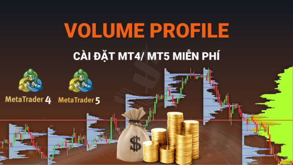 CHỈ BÁO INDICATORS - TRADERPTKT.COM
